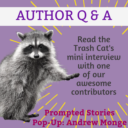 Q & A with Andrew Monge – TRASH CAT LIT