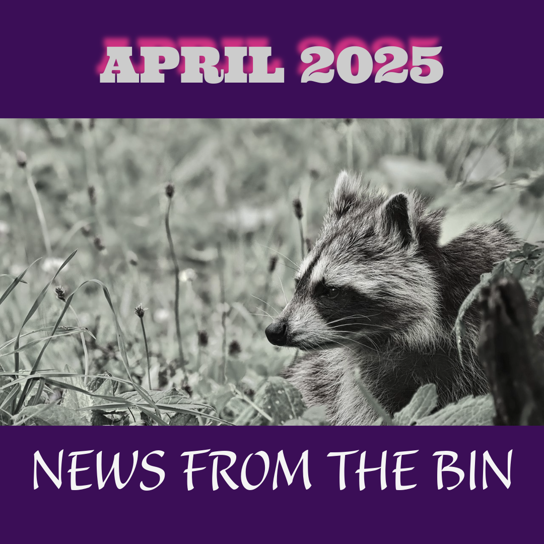 Hello from the teasing warmth of April – TRASH CAT LIT