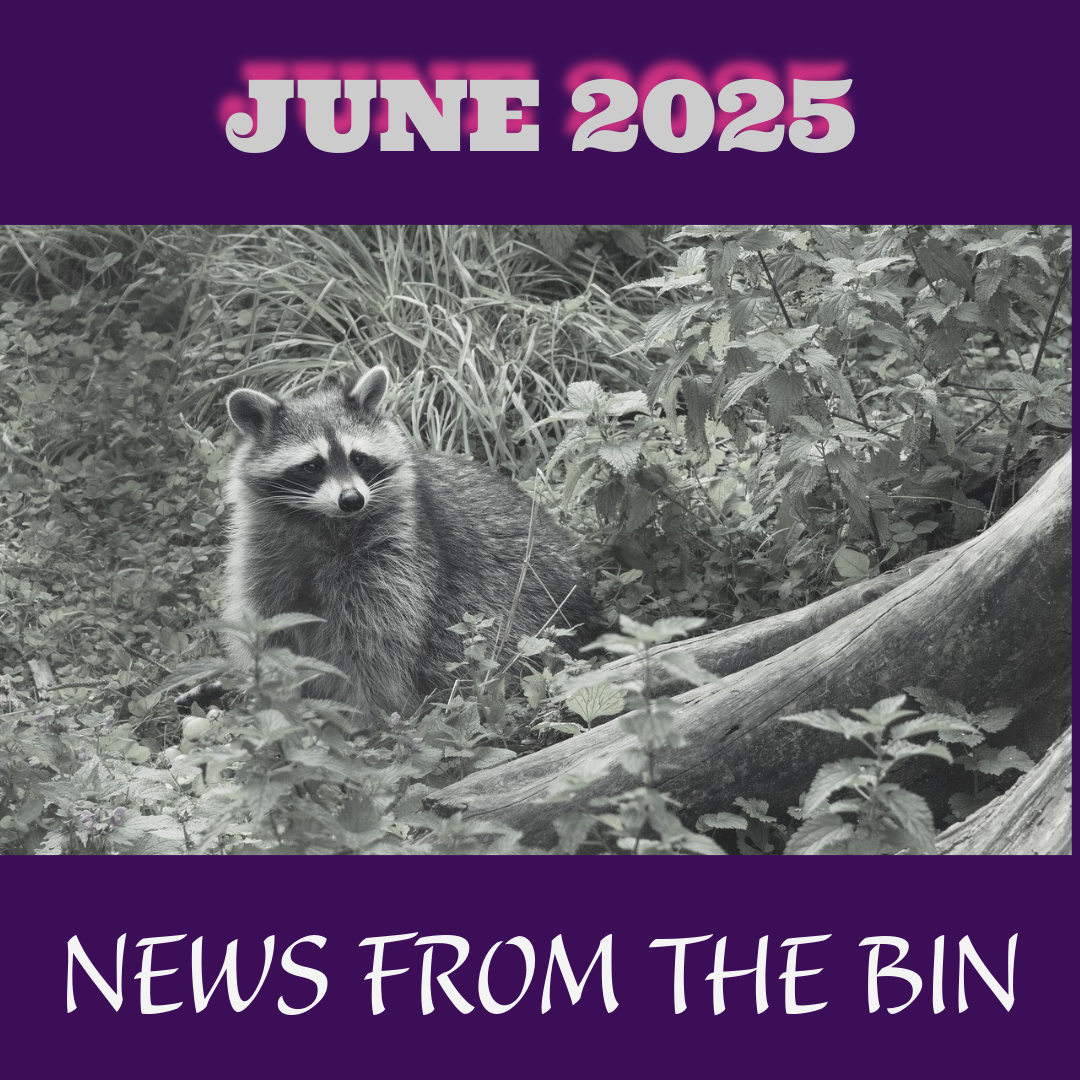 Hello from the thundery heat of June – TRASH CAT LIT