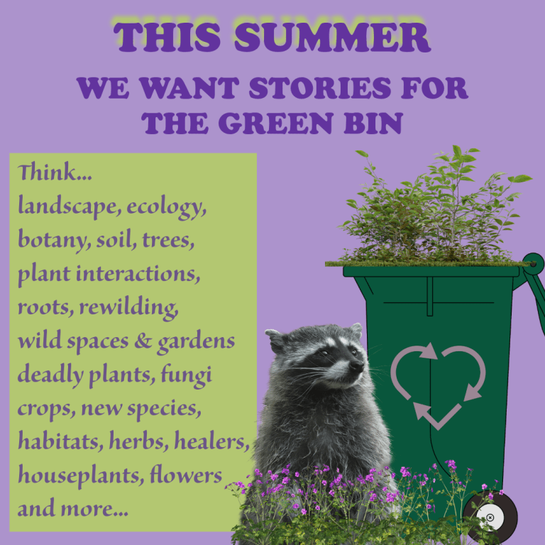 Summer Mood – TRASH CAT LIT